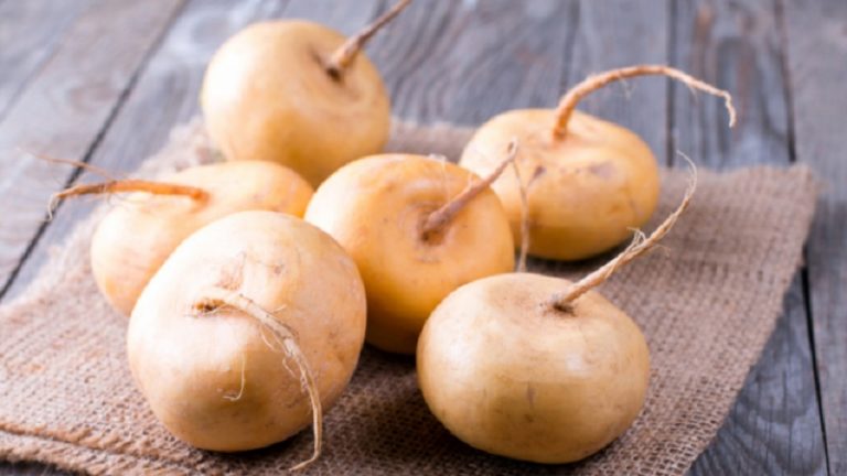 Nabo: foto, qué es, cómo se ve un cultivo de raíces, es una planta ...